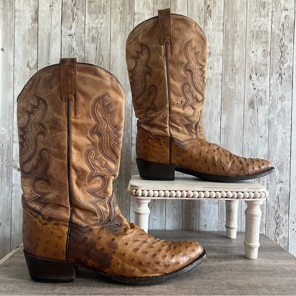 Dan Post | Shoes | Dan Post Mens Tempe Ostrich Embroidered Round Toe ...